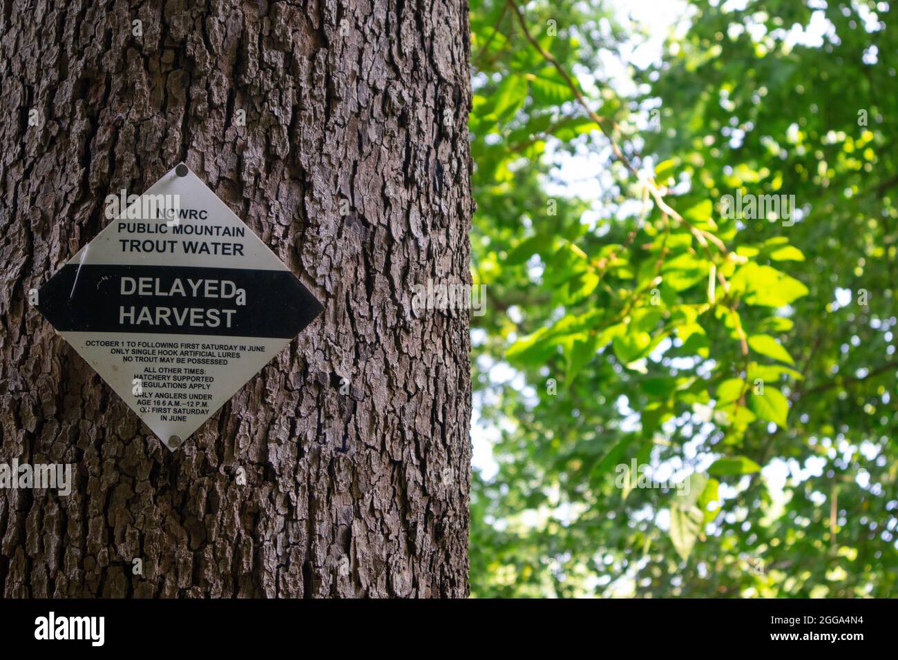 Trout Stream sign in Surry County, North Carolina Stock Photo - Alamy