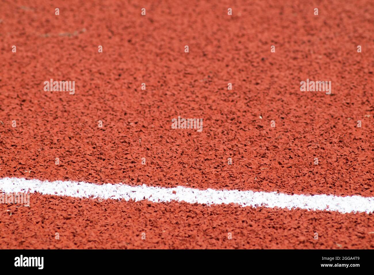 Closeup of a running track with white line to use for background Stock ...