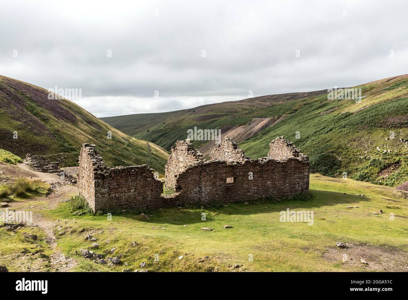 Nature Slowly Reclaiming the Industrial Landscape Surrounding the ...
