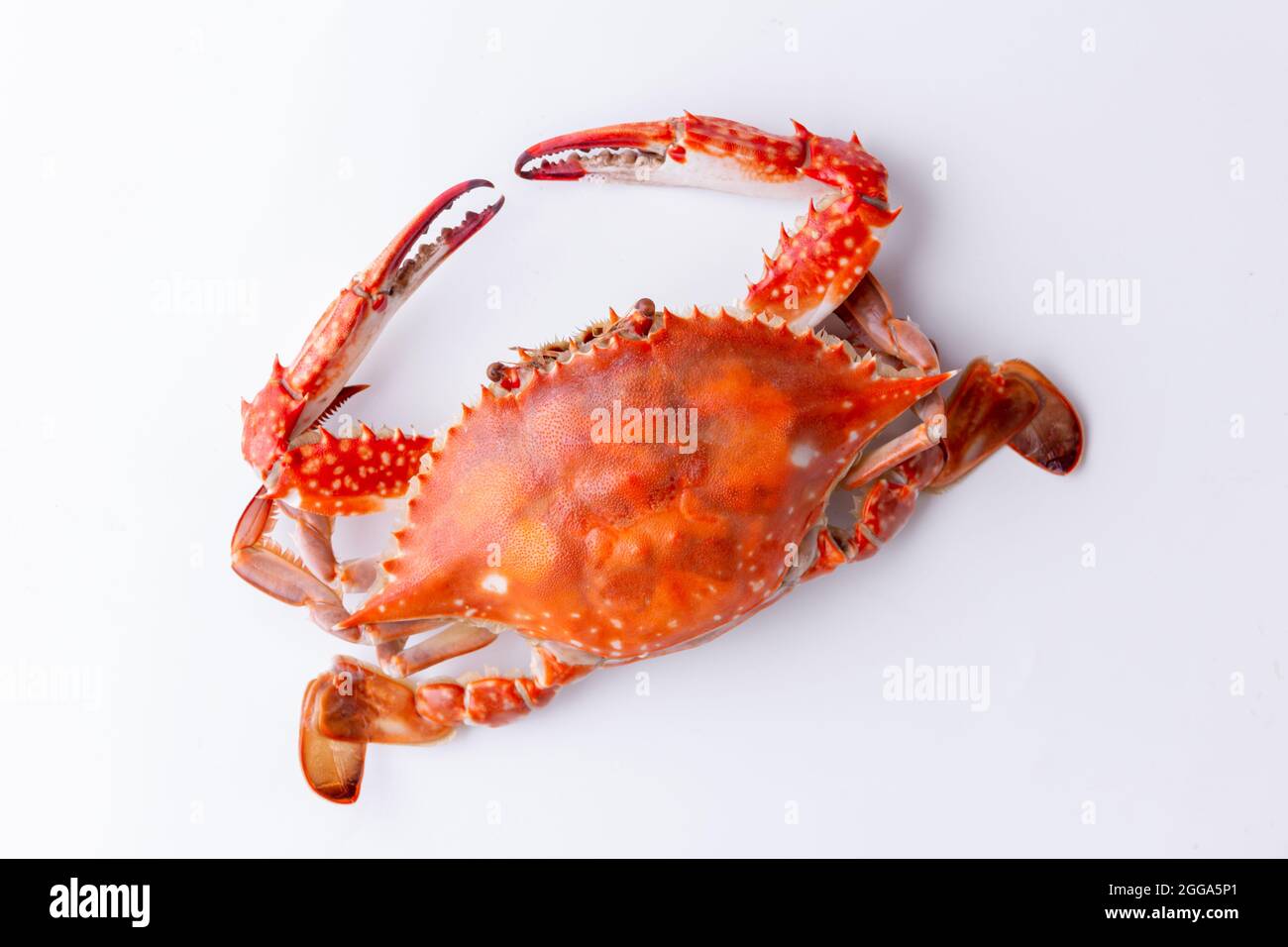 Cooked Crabs High Resolution Stock Photography and Images - Alamy