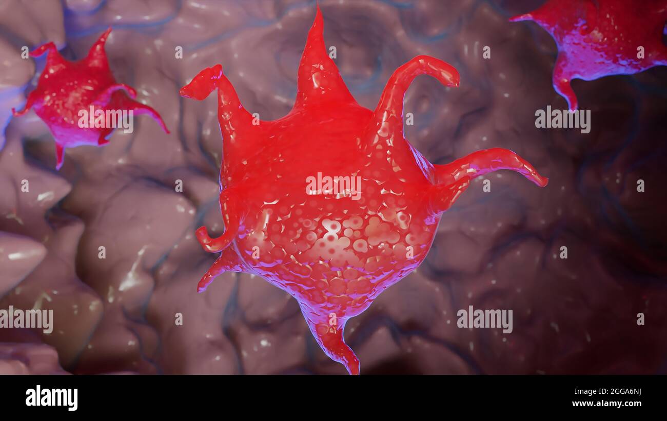 Platelets, blood cell, 3d render Stock Photo - Alamy