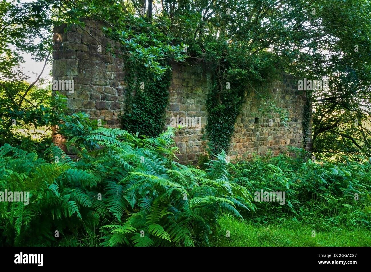 Timber targets hi-res stock photography and images - Alamy