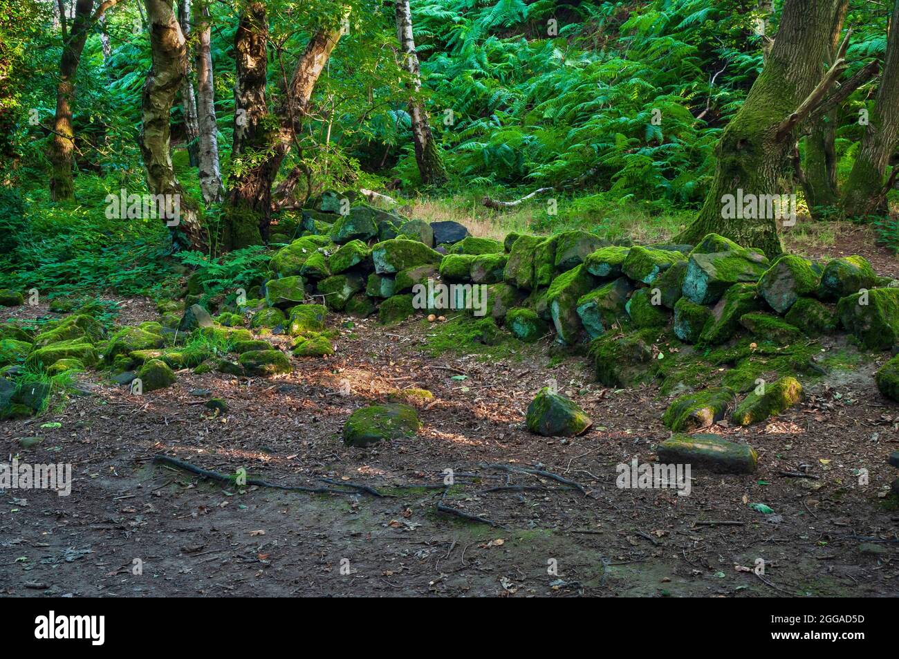 Drystone ruined perimeter wall marking old farm plots on the high ...