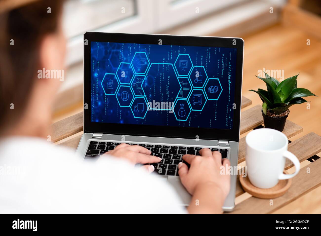 Woman Typing On Laptop Beside Coffe Mug And Beautiful Plant ...