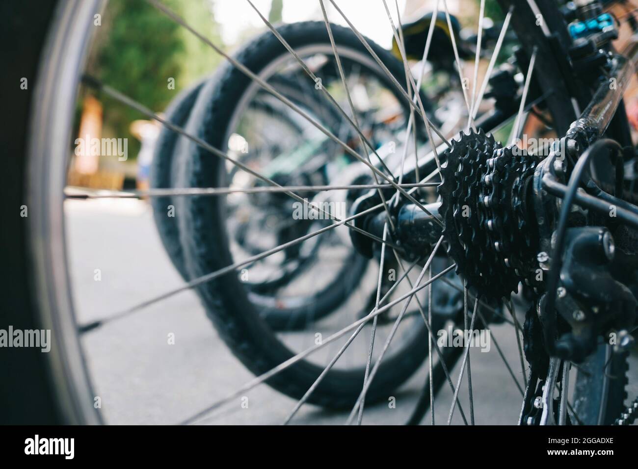 Star wheel gear hi-res stock photography and images - Alamy