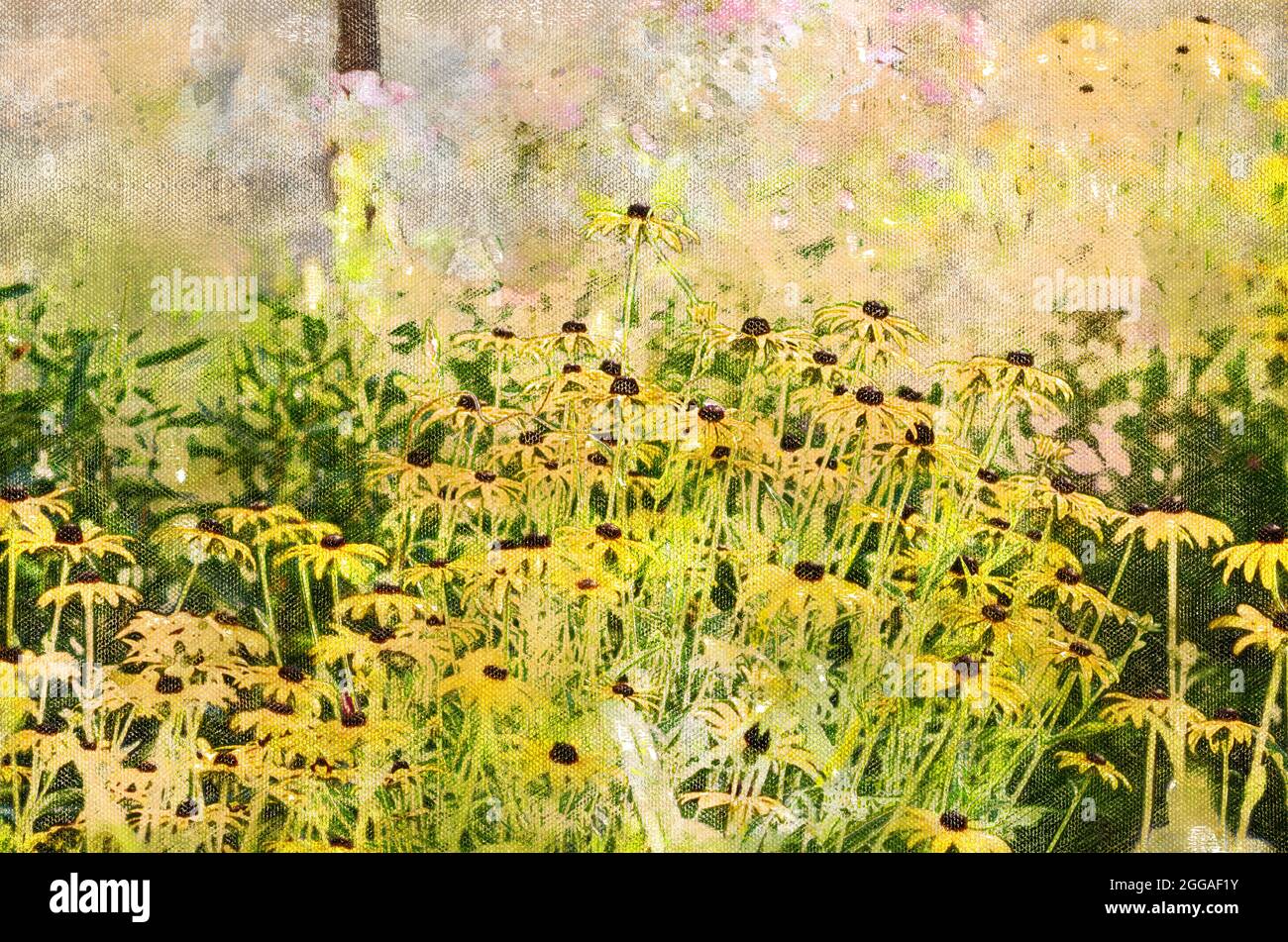 Beautiful yellow flowers in the front yard. Decorative flowers ...