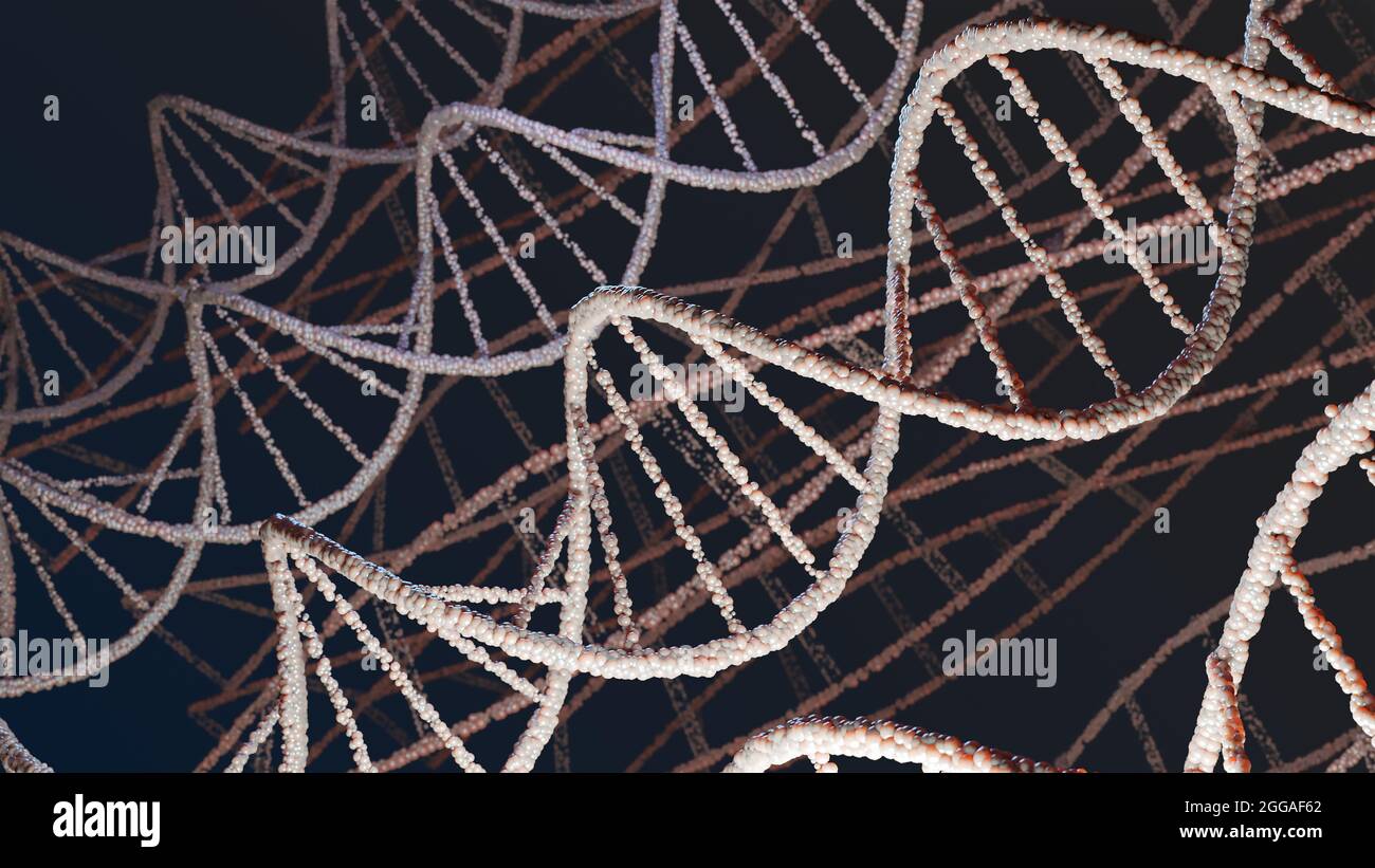 DNA molecule structure background. 3D Realistic Render Stock Photo - Alamy