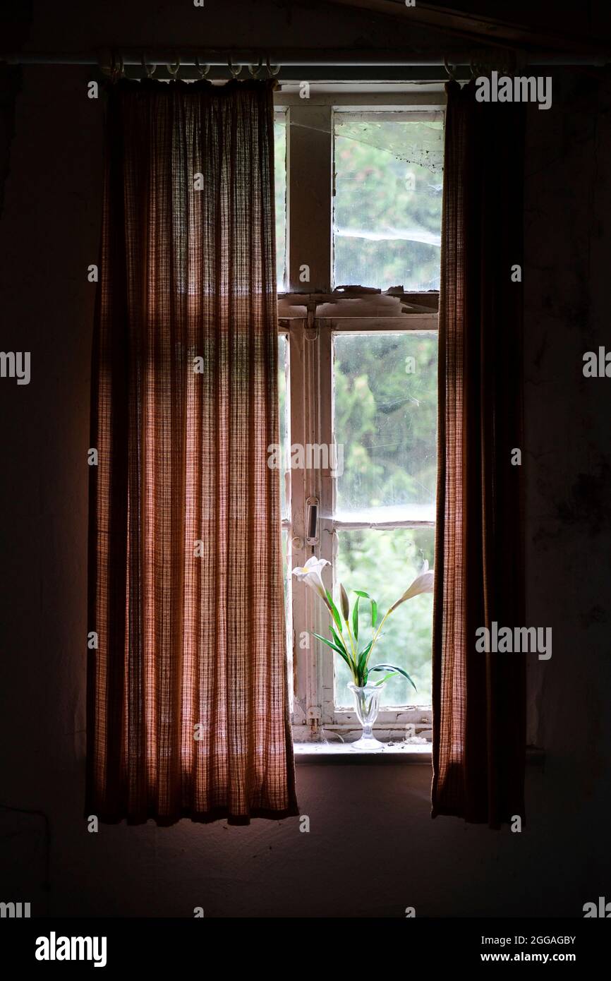 Clausthal Zellerfeld, Deutschland. 04th Aug, 2021. Lost place, Germany ...