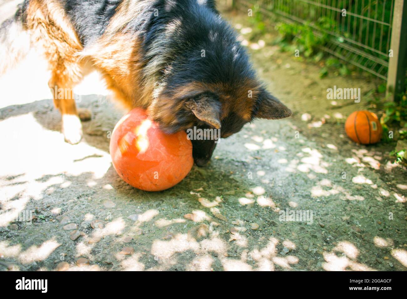 German house burst hi-res stock photography and images - Alamy