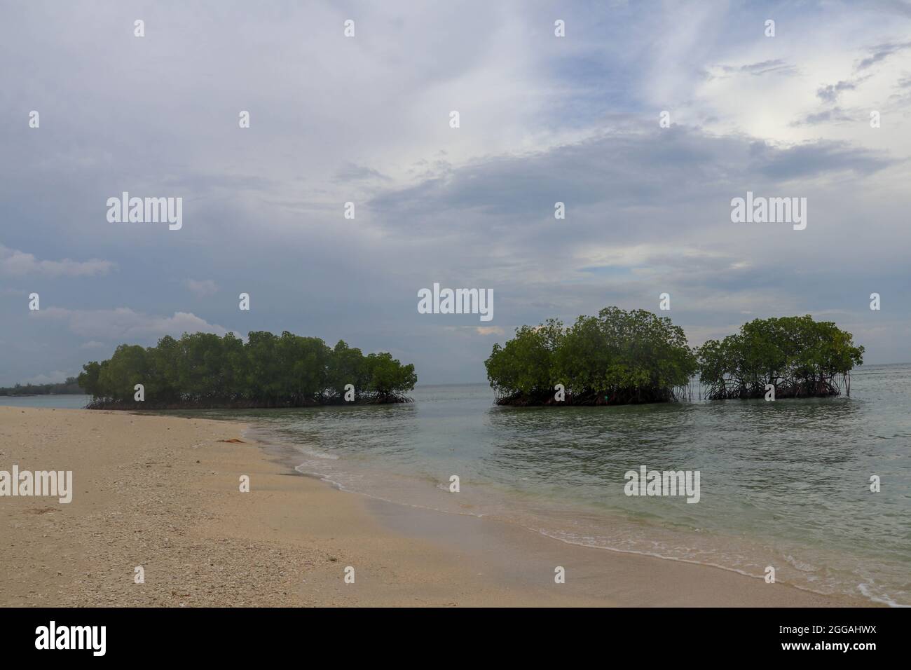 Beach with fine yellow sand. Mangrove in shallow water of Indian Ocean ...
