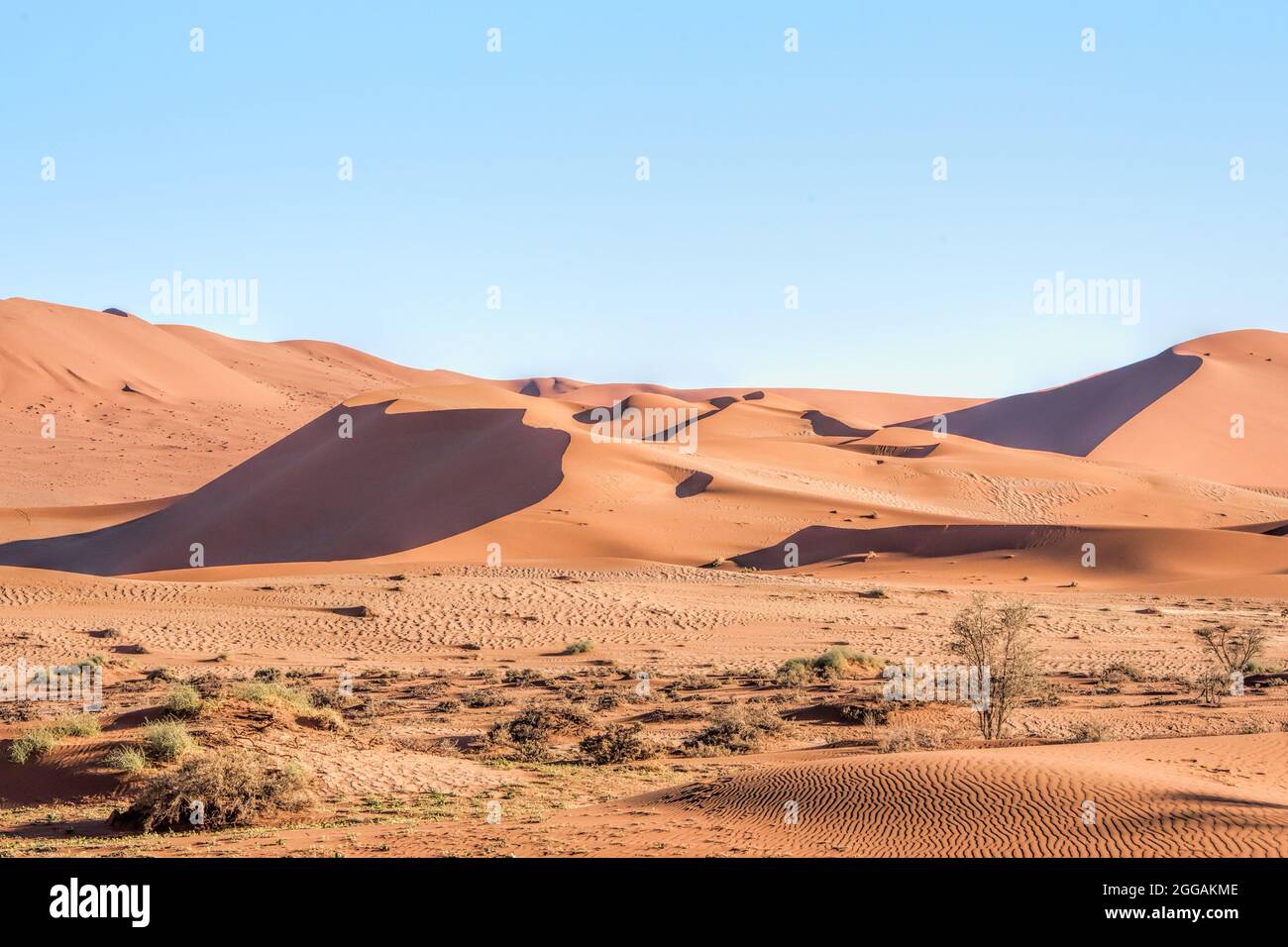 Red sand dunes in Namibia Stock Photo - Alamy