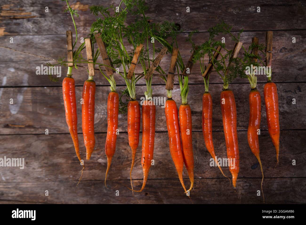Presentation of a fresh bunch of carrots hanging by a thread Stock ...