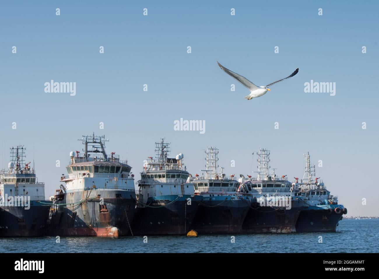 fishing boats in Namibia Stock Photo - Alamy