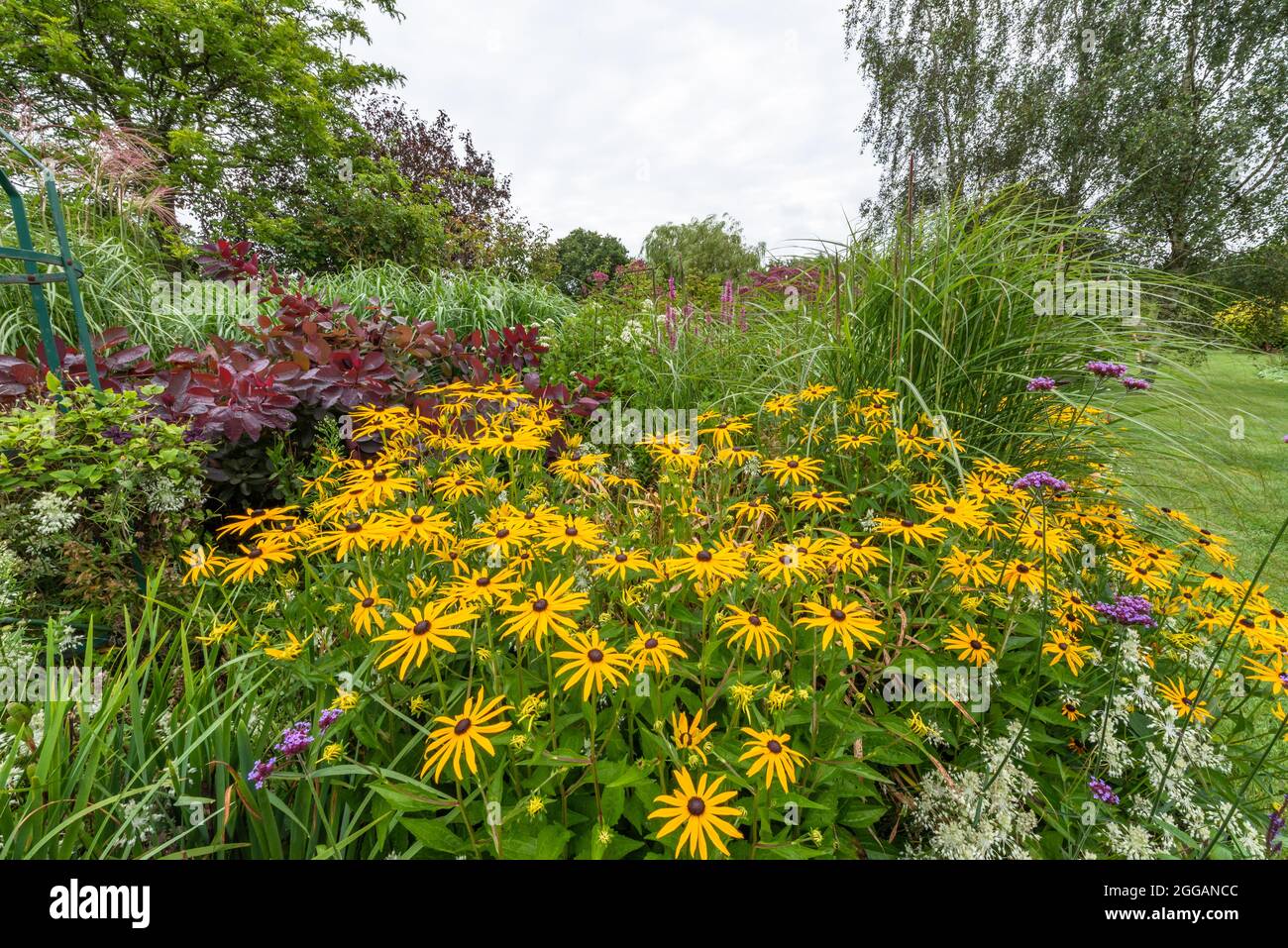 Garden flower border during summer Stock Photo - Alamy