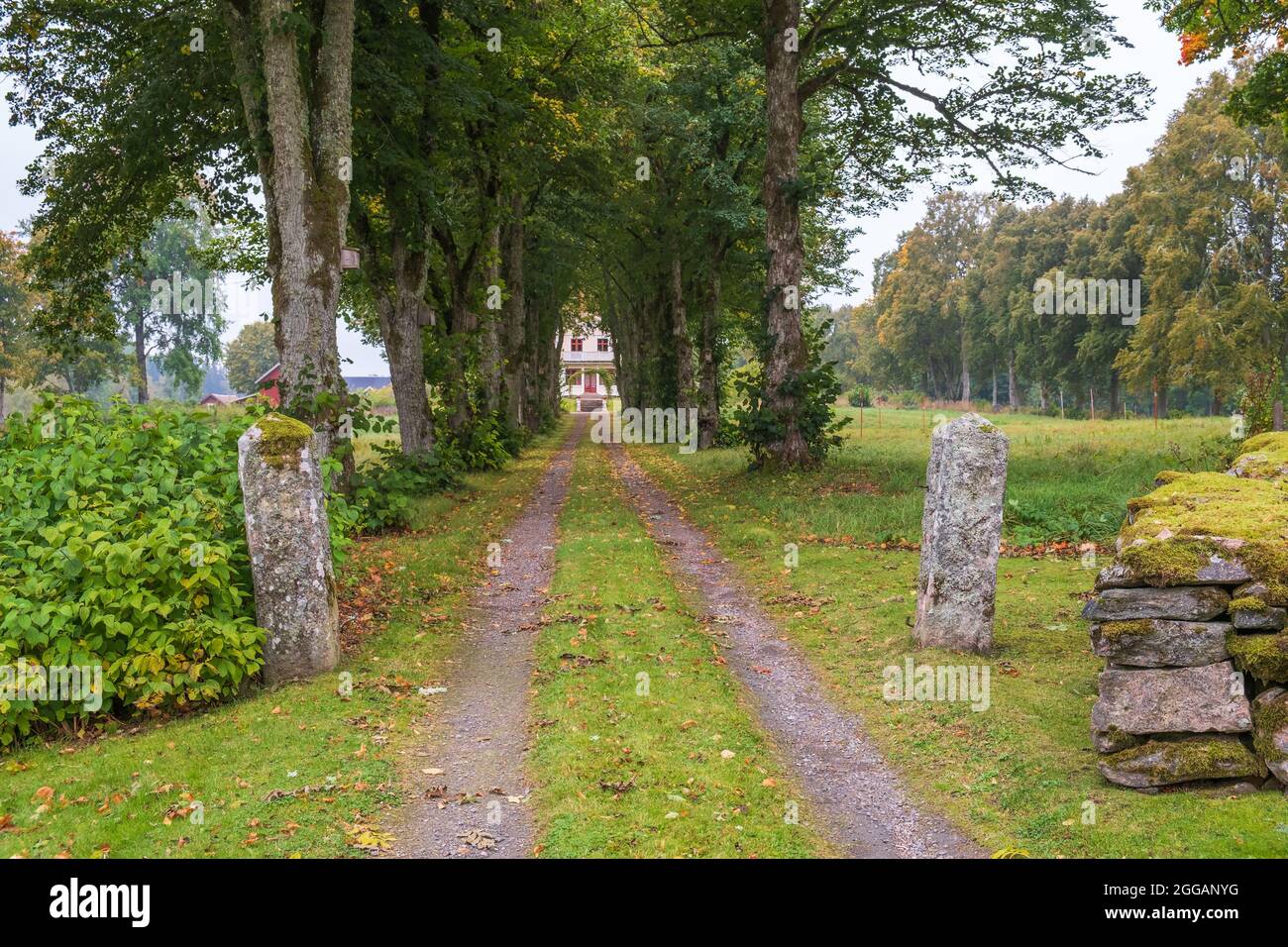 Wooded tree line hi-res stock photography and images - Alamy