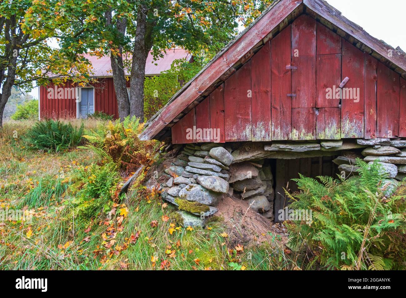 Earth cellar hi-res stock photography and images - Alamy