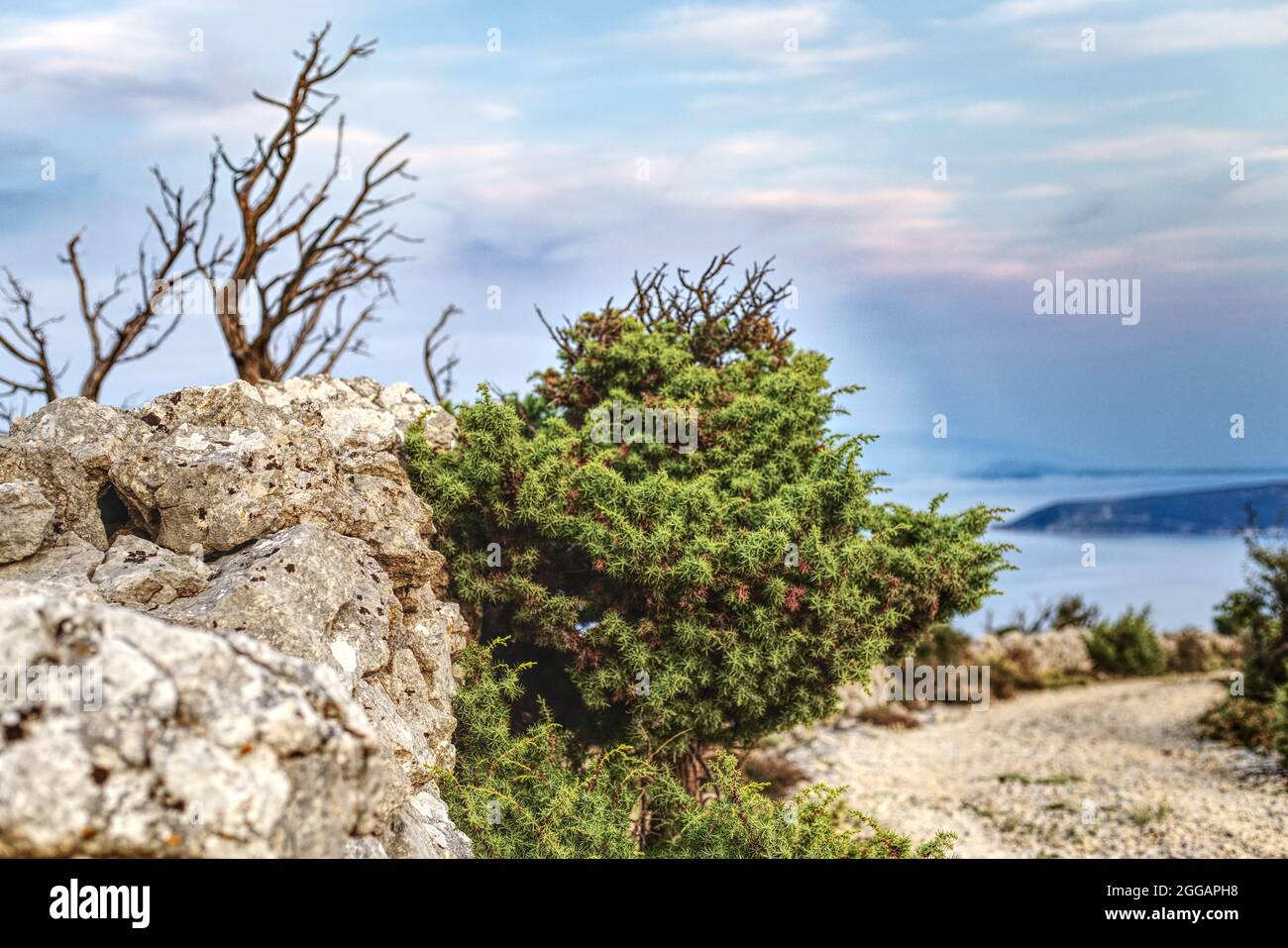 scenic view of a way forward on cres island Stock Photo - Alamy