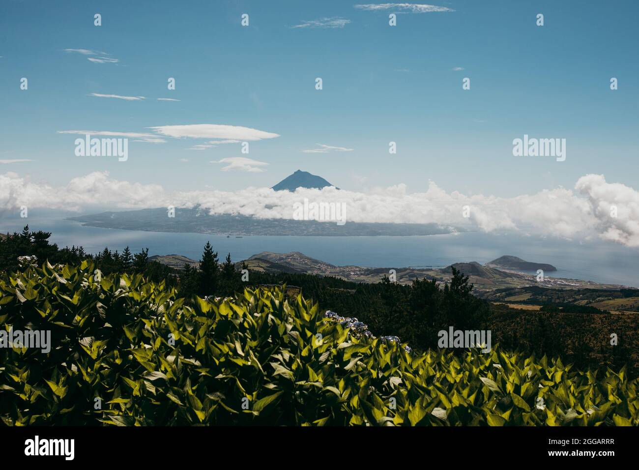 Pico island in the dense clouds, a view from a scenic meadow ...