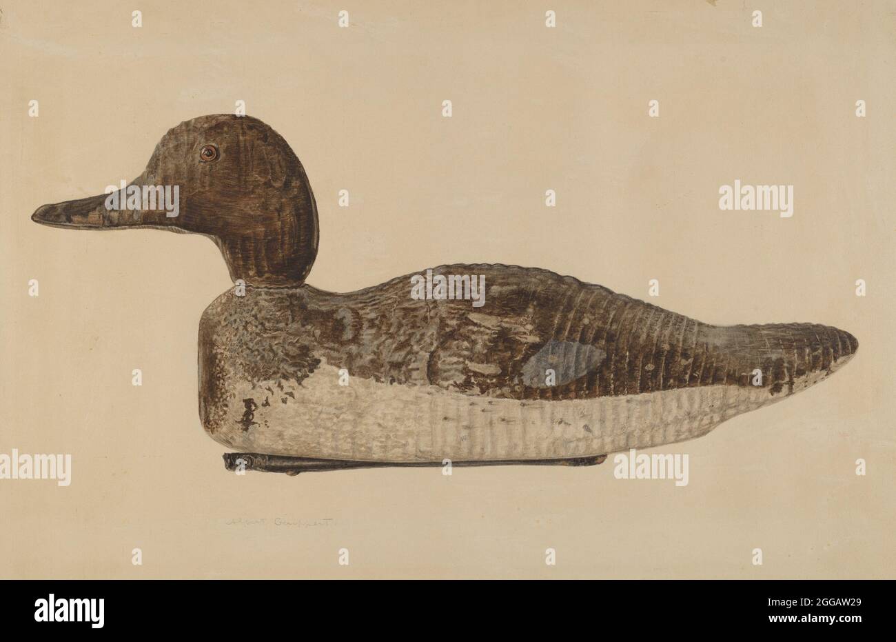 Decoy: Blue Winged Teal, c. 1938 Stock Photo - Alamy
