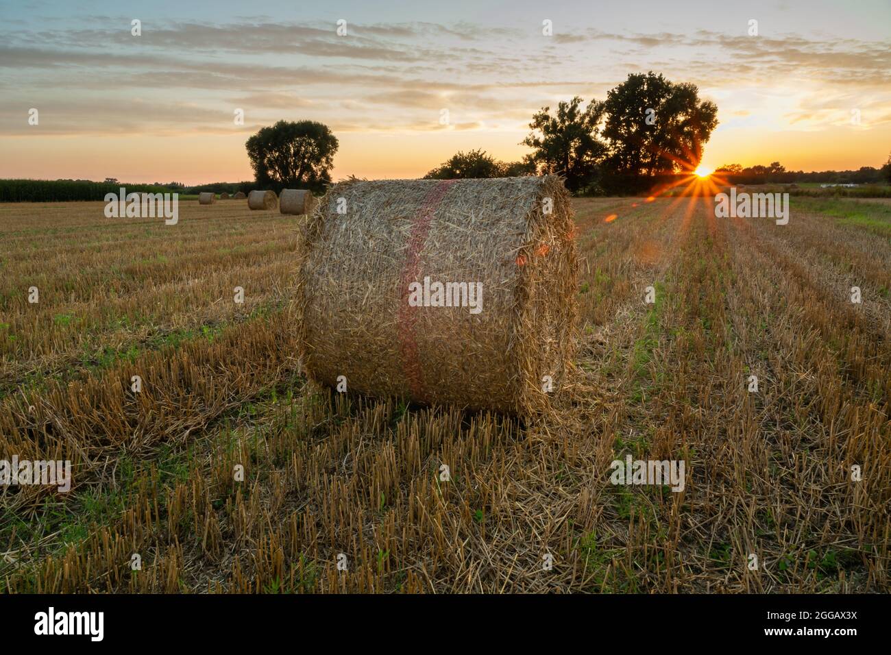 Hay bale field sunset hi-res stock photography and images - Alamy