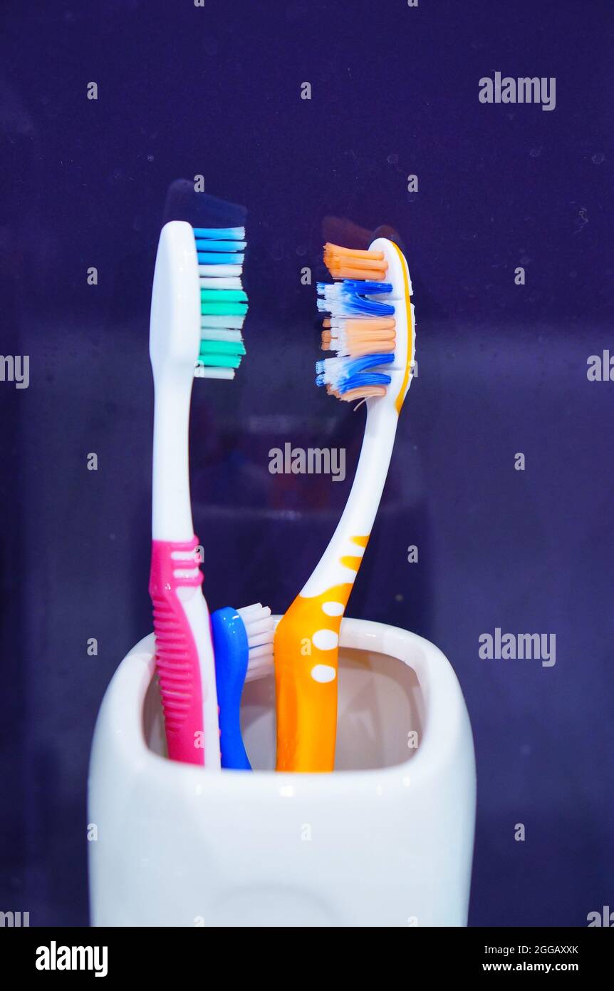 Vertical shot of three toothbrushes in a white cup Stock Photo - Alamy