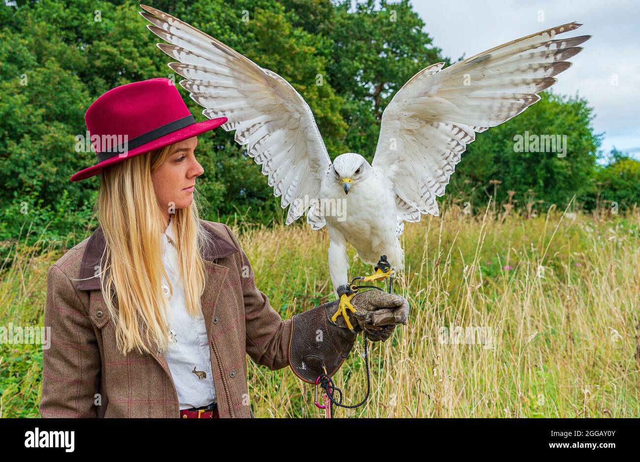 Amy hunter hi-res stock photography and images - Alamy