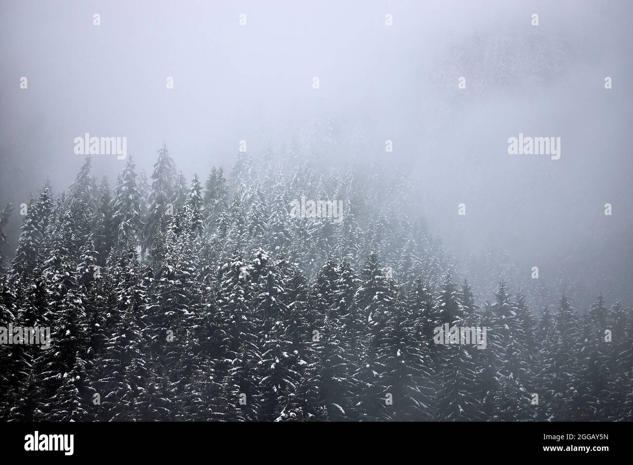 foggy and misty landscape of snowy mountains Stock Photo - Alamy