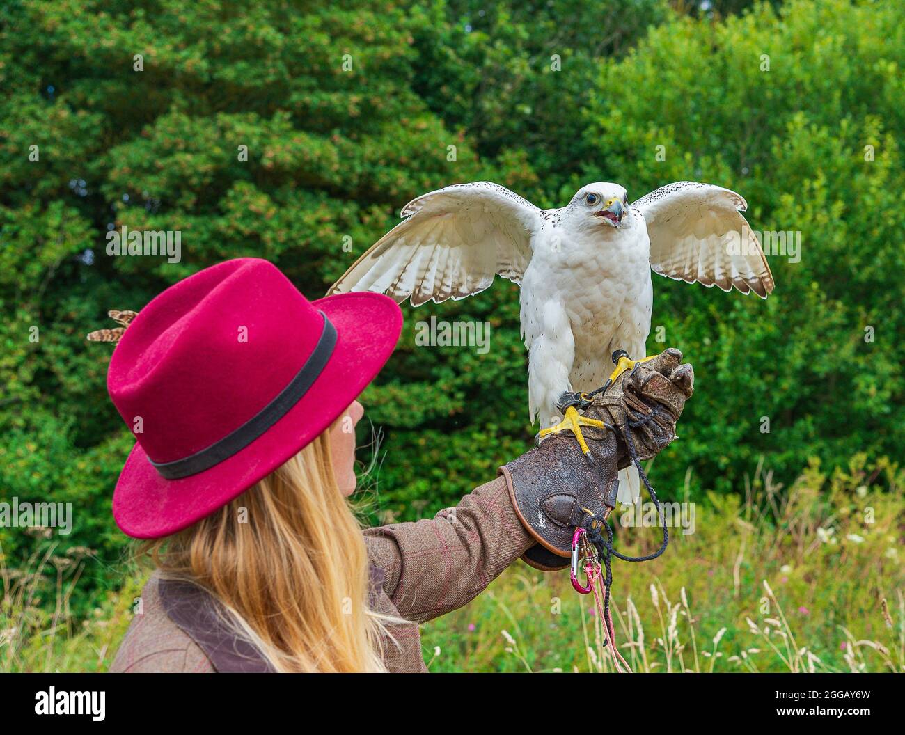Lady hunter blair hi-res stock photography and images - Alamy