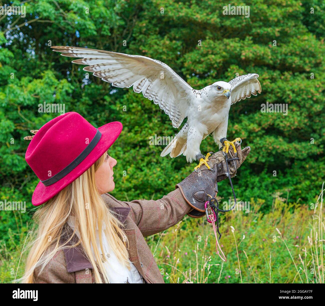 Amy coldron hi-res stock photography and images - Alamy
