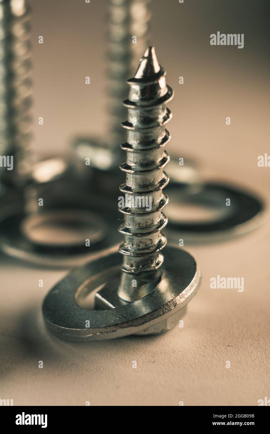 Double bugle head hi-res stock photography and images - Alamy