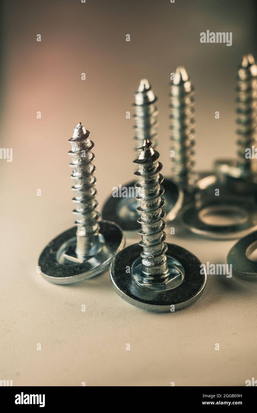 Double bugle head hi-res stock photography and images - Alamy