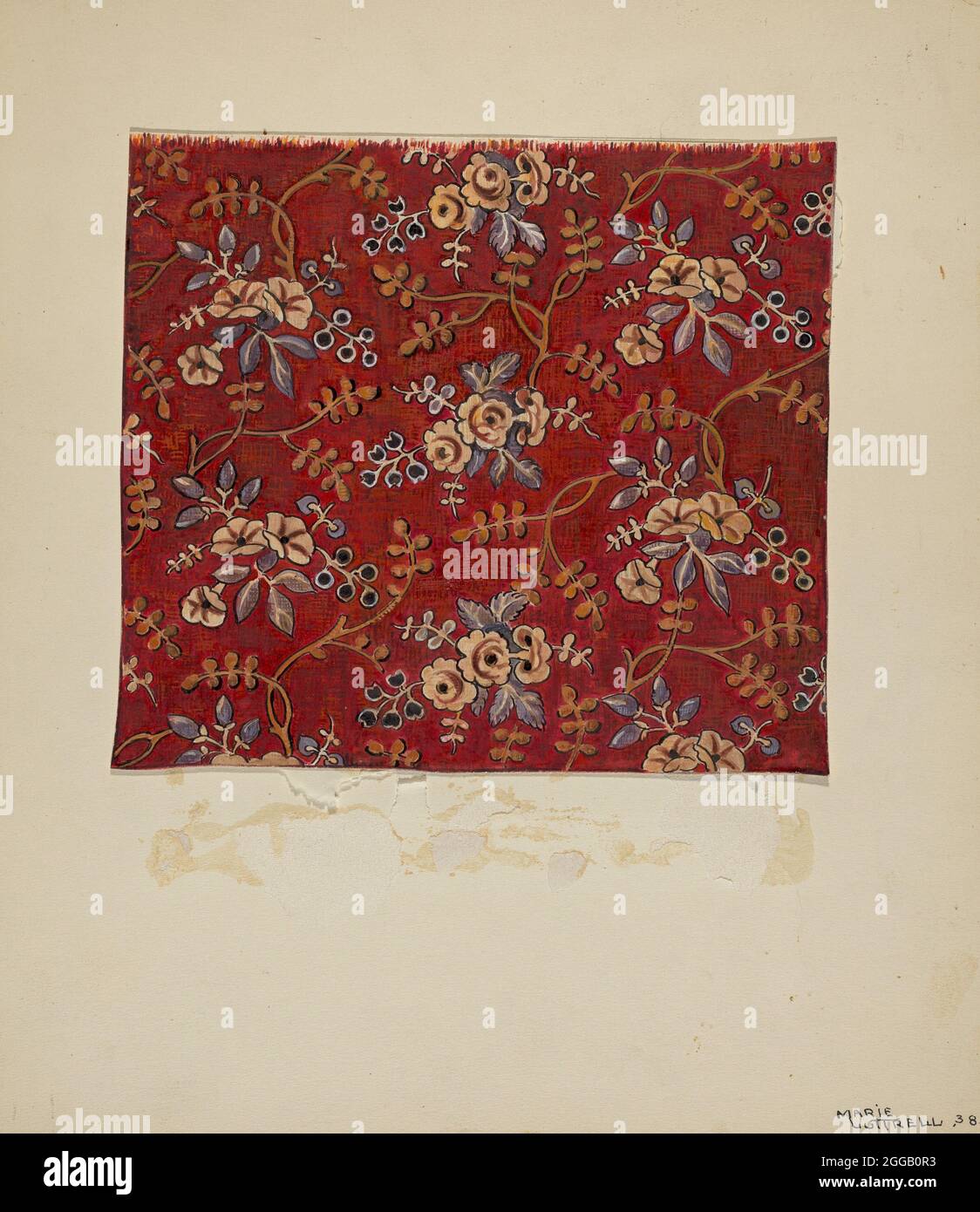 Marie gold flower hi-res stock photography and images - Alamy