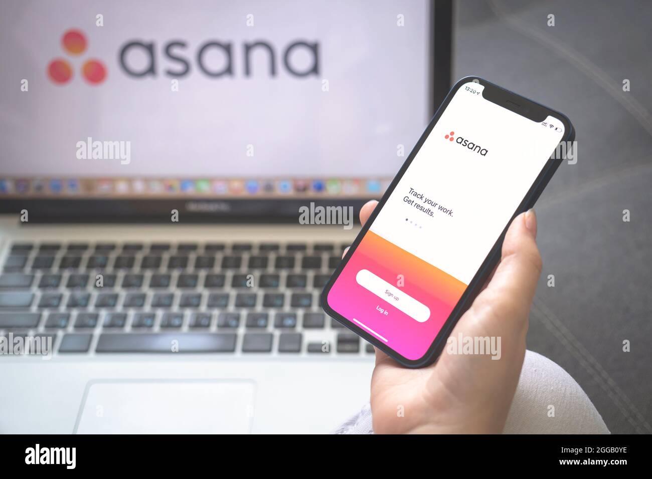 Asana logo hi-res stock photography and images - Alamy