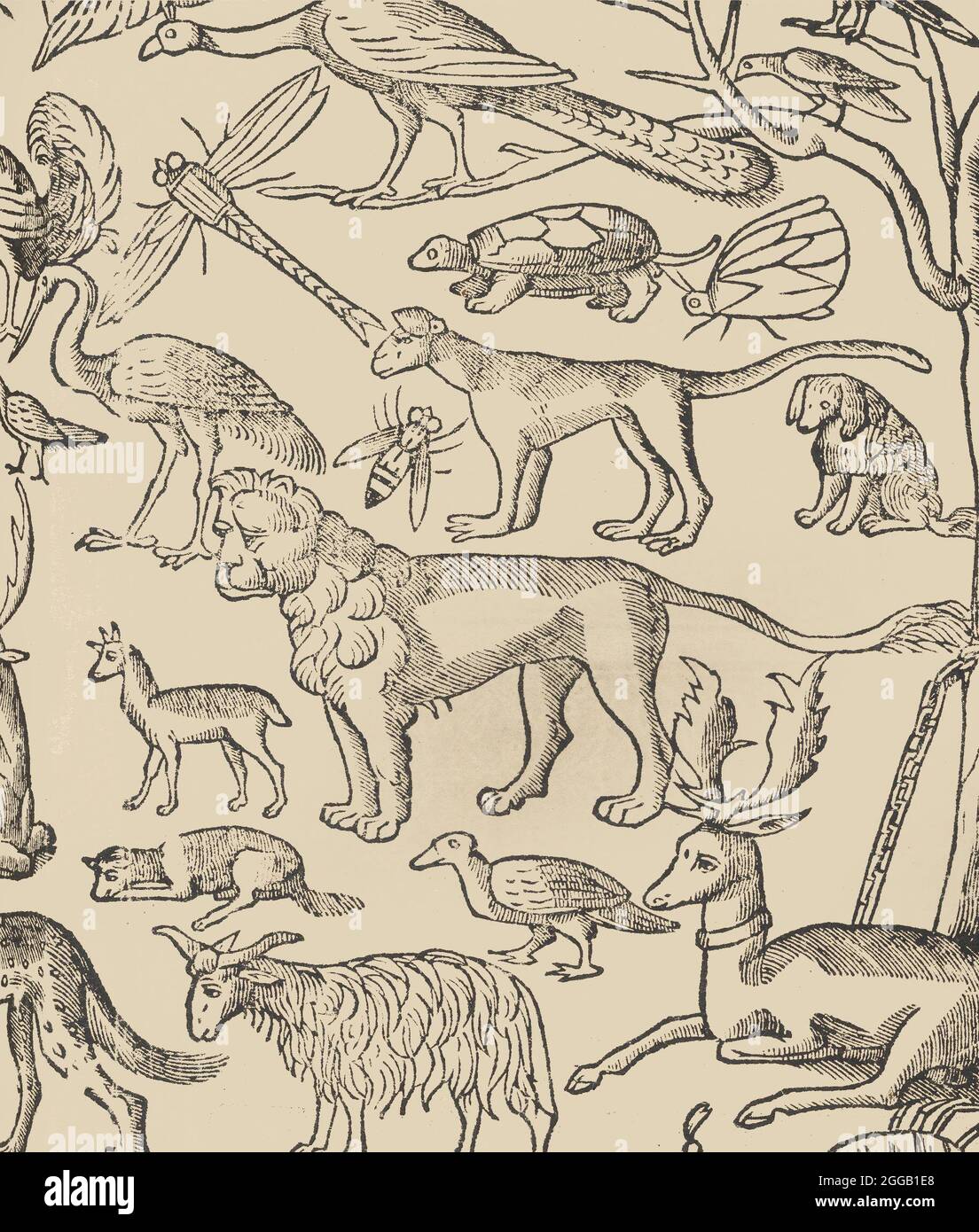 13 Recto High Resolution Stock Photography and Images - Alamy