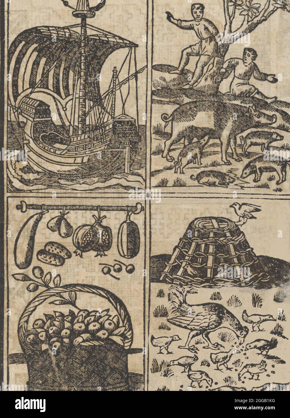 Published 1530 hi-res stock photography and images - Alamy