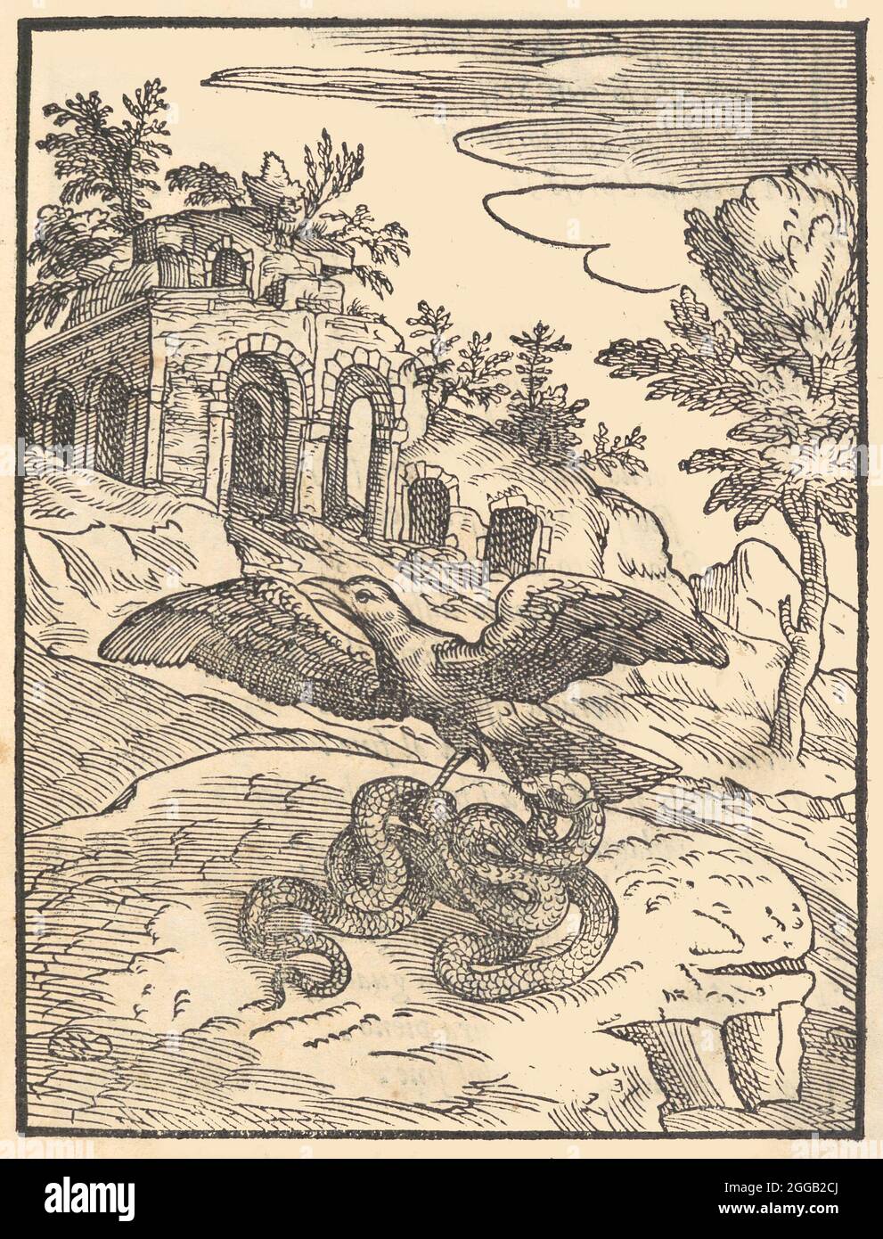 Bird and snake, 1570. From Cento Favole Morali (100 moral fables Stock ...