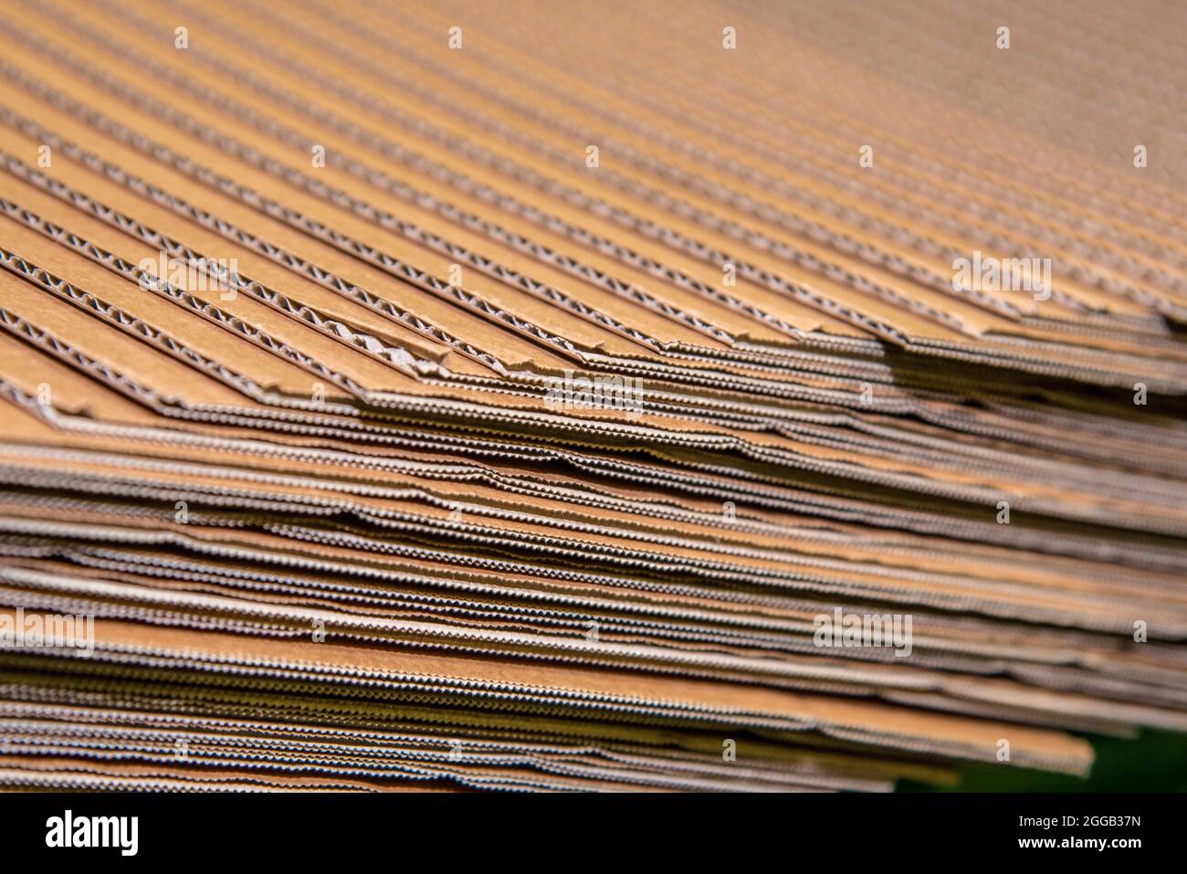 Conveyor belt automation at a corrugated cardboard manufacturing plant ...