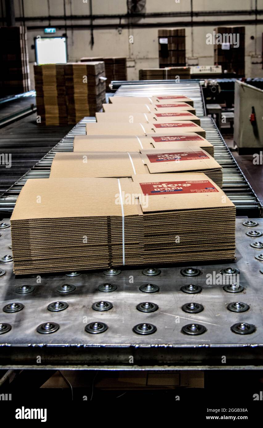Conveyor belt automation at a corrugated cardboard manufacturing plant ...