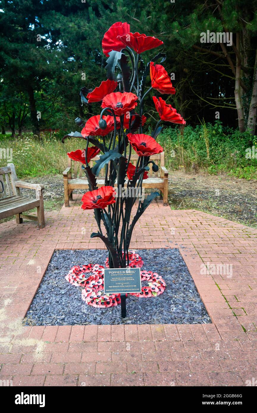 Large bright red poppies in steel to commemorate the centenary of world ...