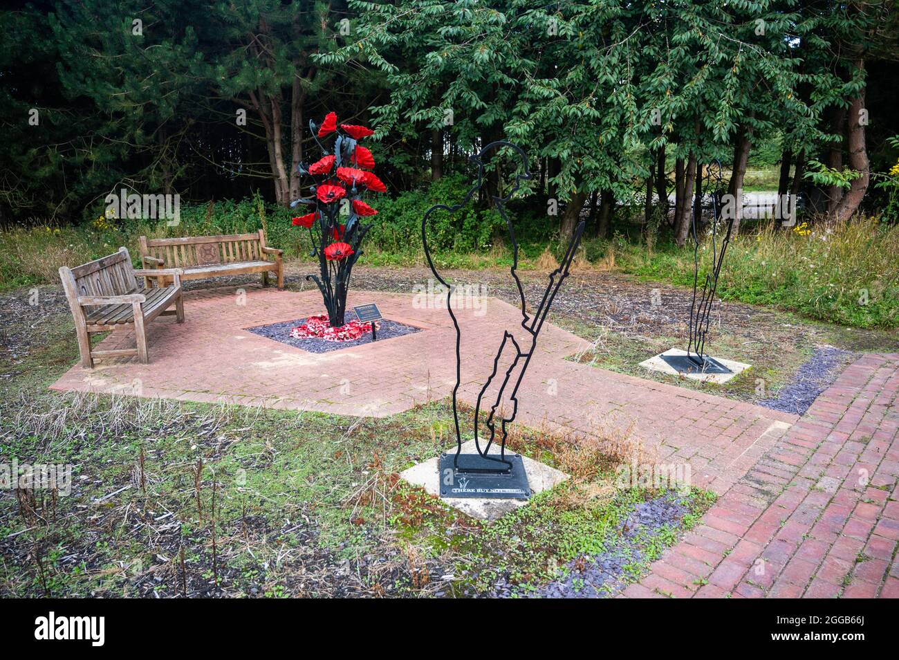 Large bright red poppies in steel to commemorate the centenary of world ...