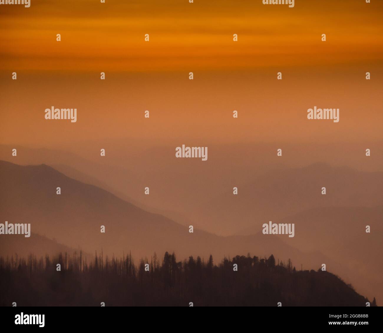 Silhouetted charred forest from wildfire with fire red sky and mountain ...