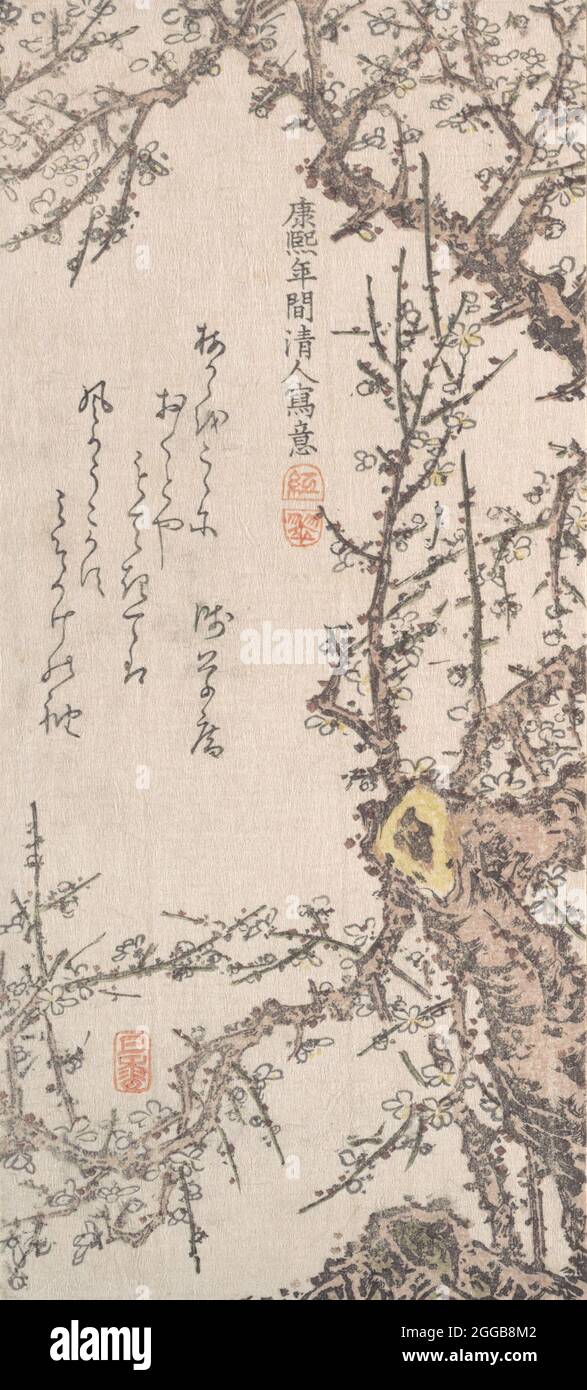 Plum Tree in Blossom, late 18th-early 19th century Stock Photo - Alamy