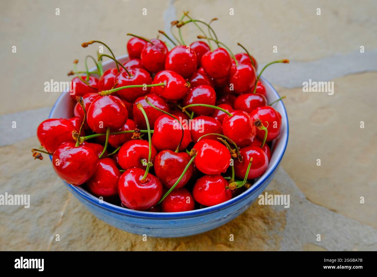 ripe raw big cherries close-up in a bowl on a stone background. Summer ...