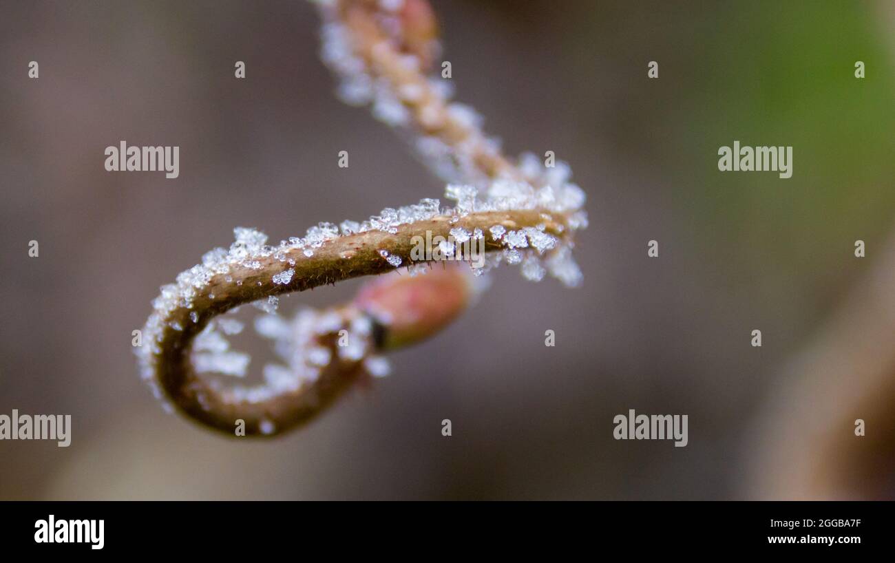 Natures abstract art hi-res stock photography and images - Alamy