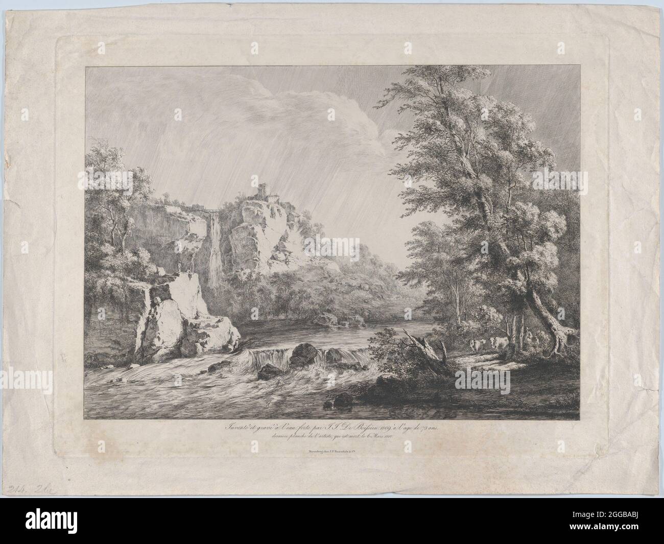 Birch Tree Uprooted by a Storm, 1809 Stock Photo - Alamy