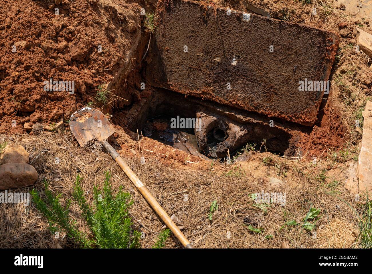 Septic tank with lid excavated and open to show sewage sludge ...