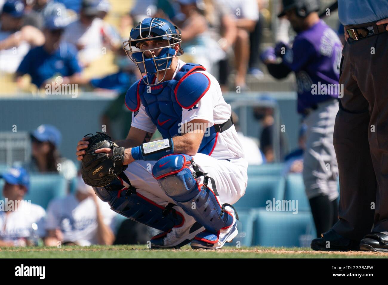Los Angeles Dodgers catcher Austin Barnes (15) during a MLB game ...