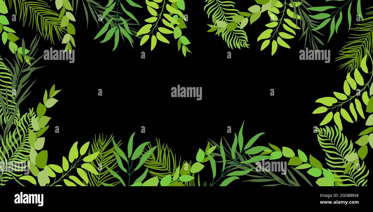 Leaf palm tree on black background. Tropical tree leaves frame. Jewish ...