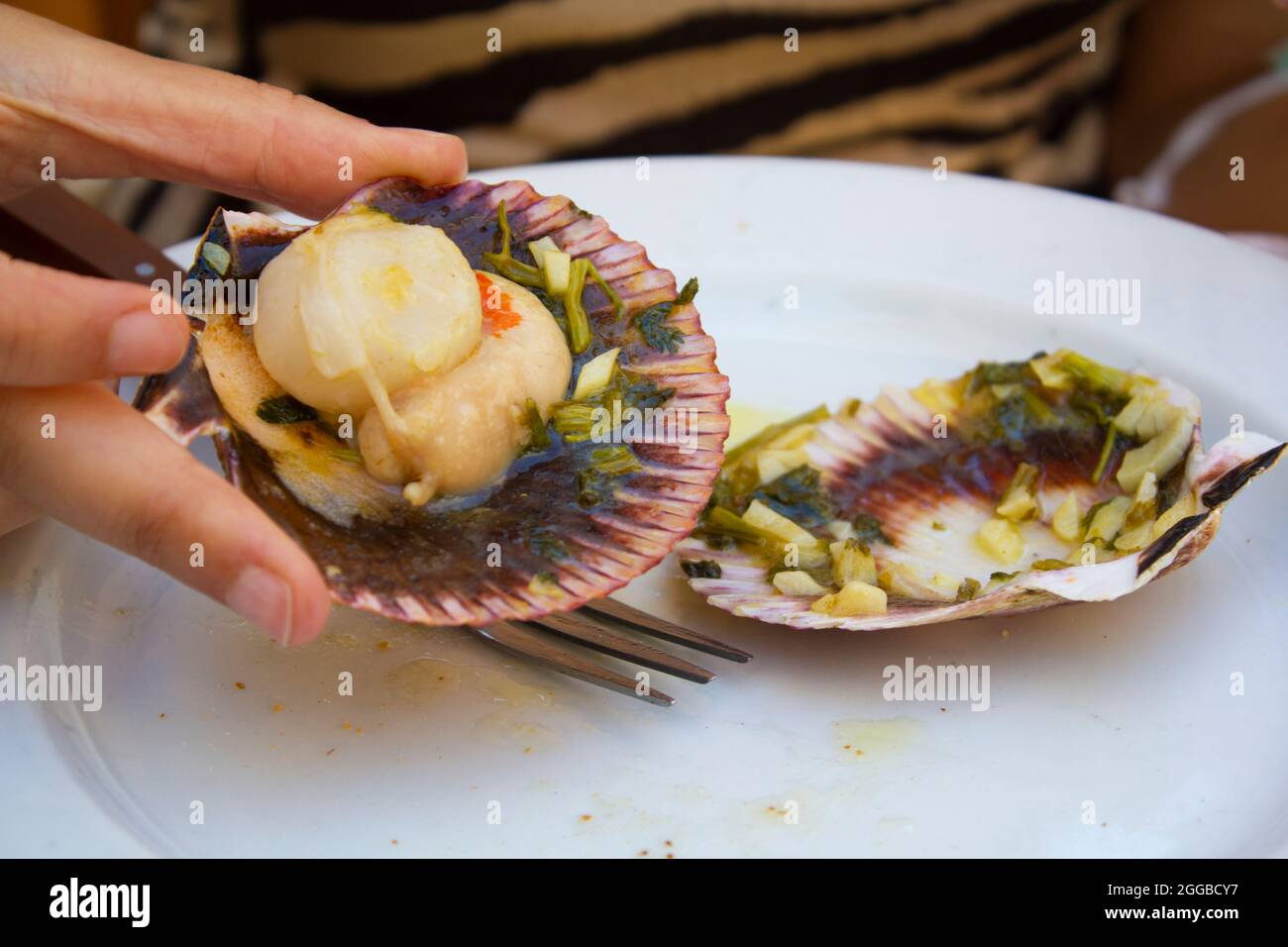 Woman eating fresh Variegated scallop Stock Photo - Alamy