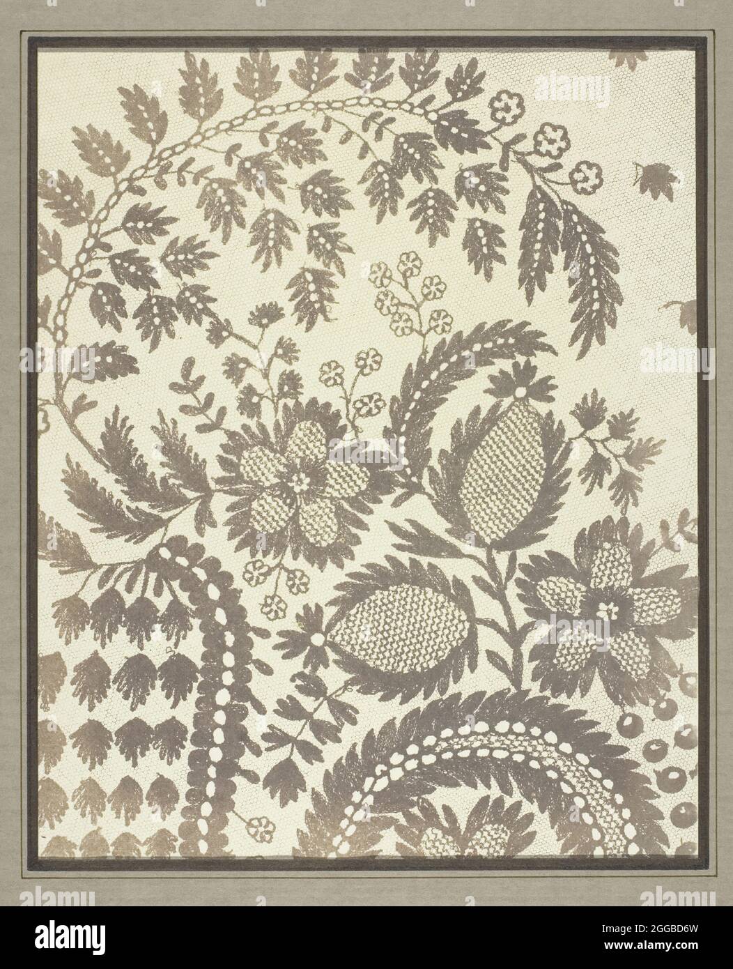 Lace, 1844/45. A work made of salted paper print Stock Photo - Alamy
